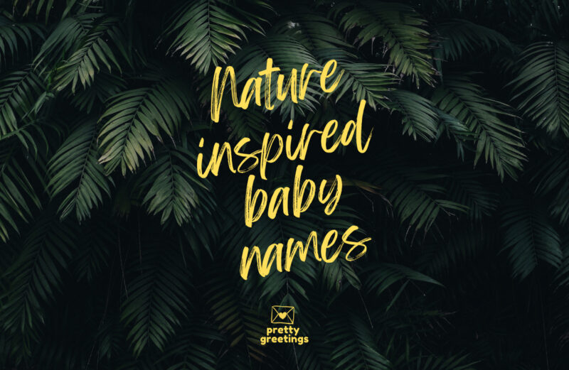 Connecting with Nature: 15 Beautiful Nature-Inspired Baby Names ...